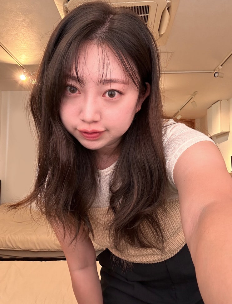 한남동 미용실 차홍룸 2024 여름 헤어 추천 컬러 스킨브라운 염색 긴머리 레이어드컷 네이버 블로그