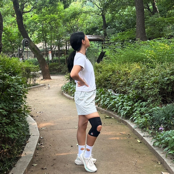무릎보호대 추천 잠스트 Ek 3 산책 등산 준비물 네이버 블로그