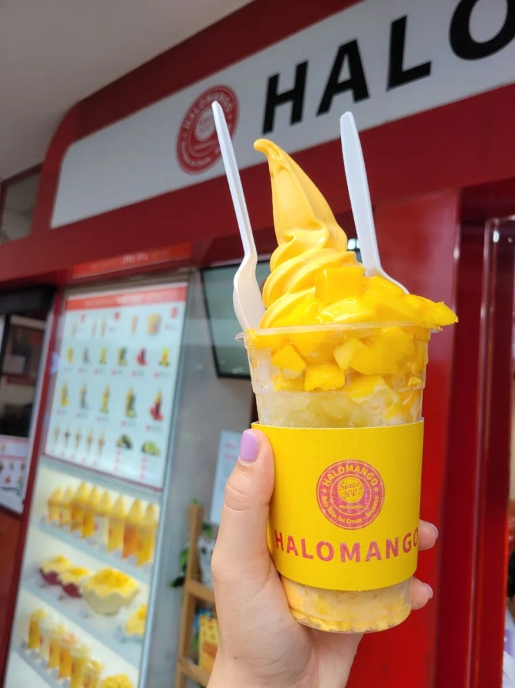 보홀 맛집(1) - 할로망고 / 라모이- 메뉴추천&솔직후기 / 졸리비-주문방법&메뉴추천 : 네이버 블로그