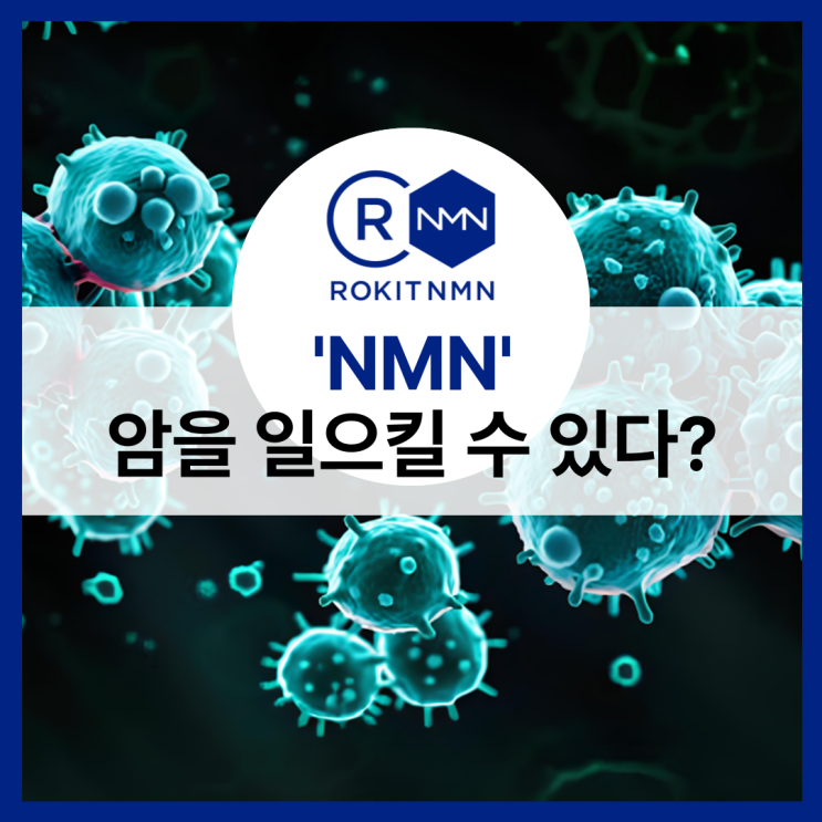 'NMN' 안심하고 먹어도 될까요? NMN을 먹으면 안되는 사람은? NMN발암,NMN부작용, NMN안전성, NMN효능, NMN임상, NMN암예방, NMN항암, 로킷아메리카 ...