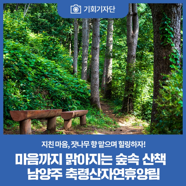 마음까지 맑아지는 숲속 산책 남양주 축령산자연휴양림 네이버 블로그