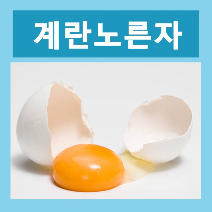 계란 노른자 효능 및 부작용 난유 정보 네이버 블로그