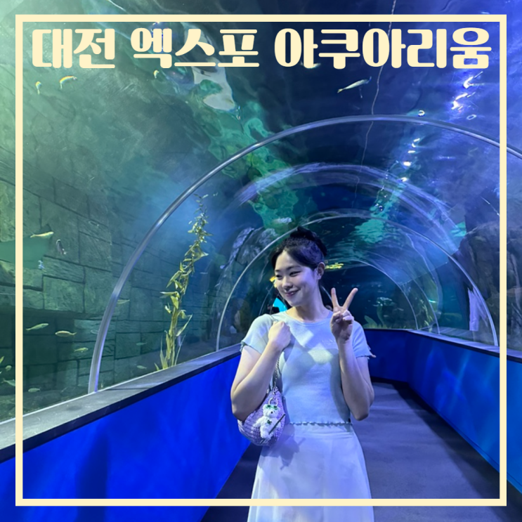 대전 신세계 백화점 아쿠아리움 무료 공연 체험 프로그램 카페 총정리 네이버 블로그