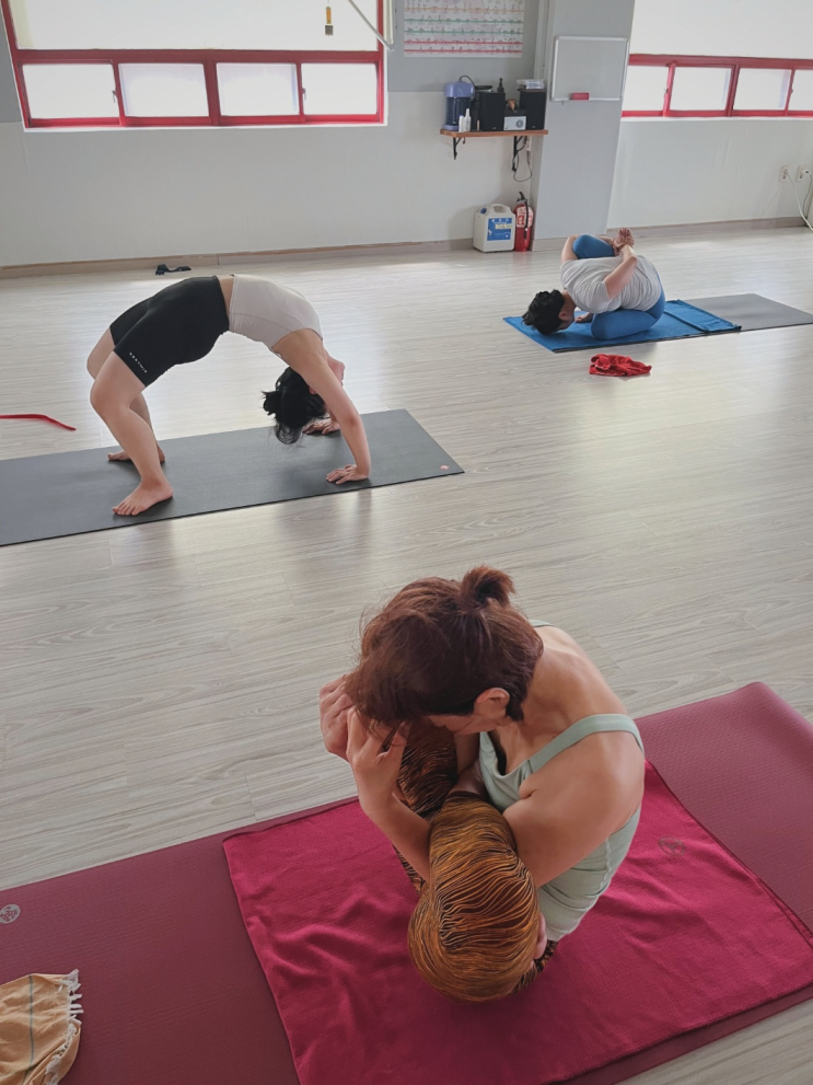 됴맘요가 요가일상 부산서구요가 부산서구아쉬탕가요가 부산아쉬탕가요가 부산대신동다이어트요가부산대신동요가부산대신동아