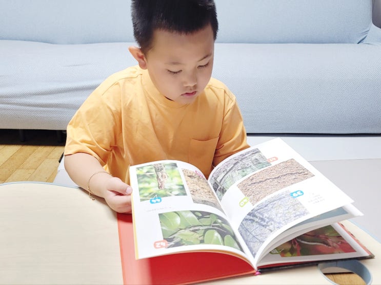 기탄교육과 함께하는 슬기로운 여름방학 다독 캠페인 좋아 네이버 블로그