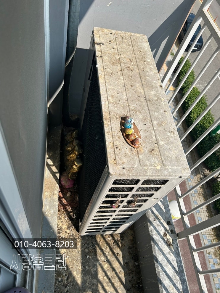 인천 논현 가온우노시티 비둘기퇴치 및 배설물 청소까지 확실하게 네이버 블로그