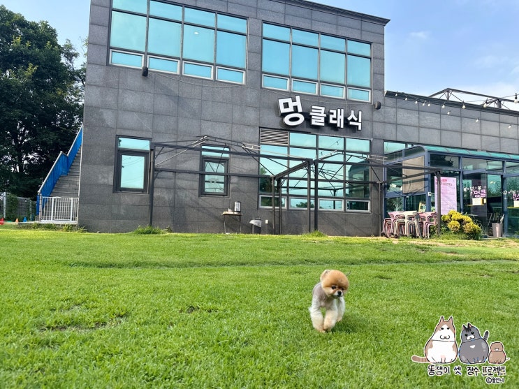 파주 애견카페 추천 멍클래식 애견동반 바베큐 구워주는 고기 맛집 파주 애견동반식당 갔다온 후기 네이버 블로그