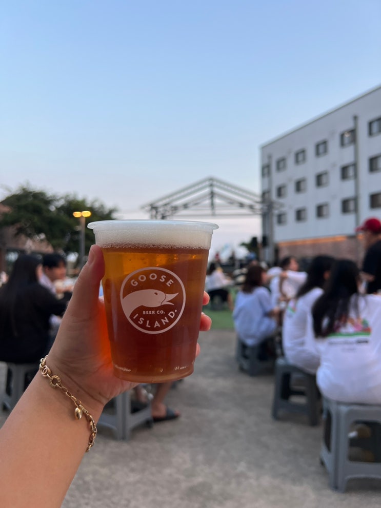 제주 맥주 축제 플레이스캠프제주 제주도 짠페스티벌 서귀포 야경 후기 : 네이버 블로그