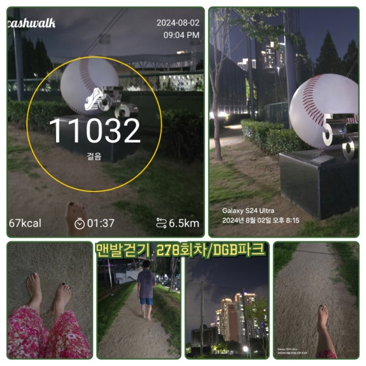 대구은행파크(구시민운동장)대구북구 맨발걷기 278회차 : 네이버 블로그