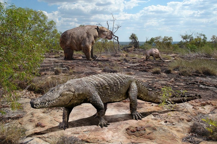 고대 동물종류 멸종된 파충류 호주를 걸어다닌 최후의 육지 악어 쿠인카나 : 네이버 블로그