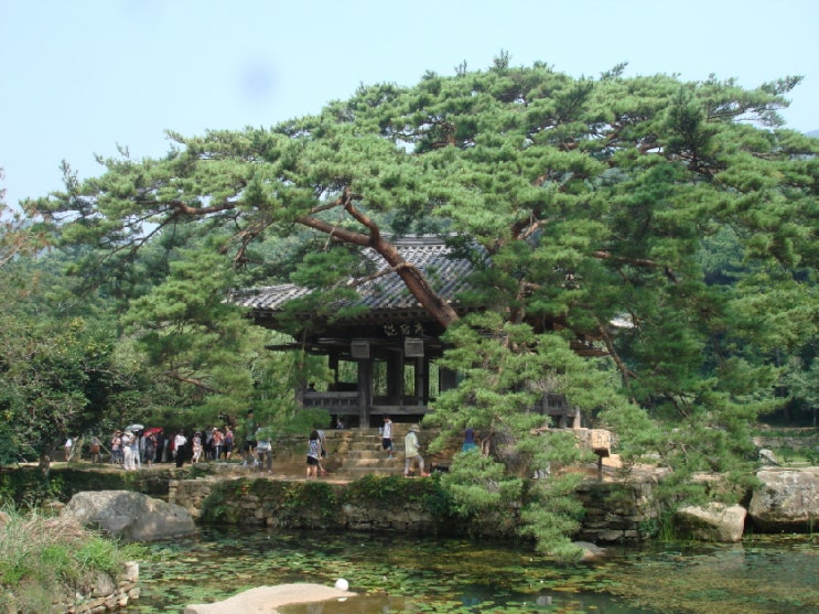 완도 노화도 보길도 배편 시간표 요금 예약 예매 차량 선적 네이버 블로그