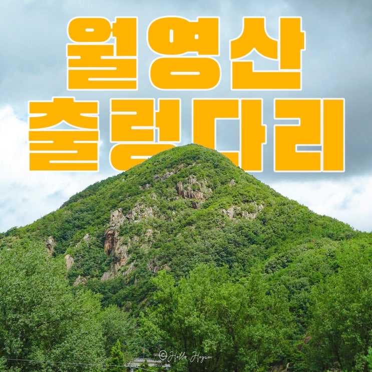 충남 금산 가볼만한곳 월영산 출렁다리 풍경이 좋아 네이버 블로그