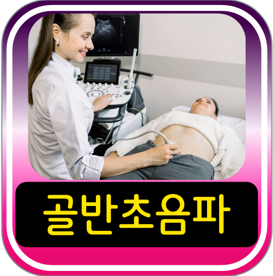 골반 초음파 검사란 목적 방법 준비사항 및 주의사항 총정리 네이버 블로그