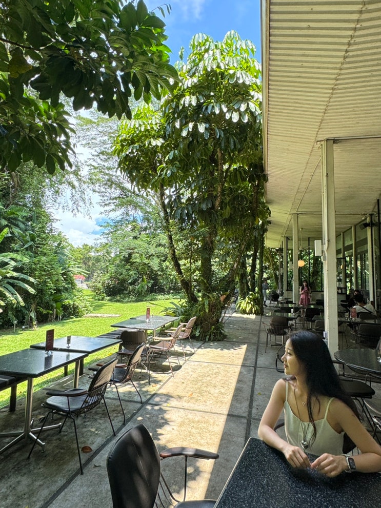 [싱가포르여행] 브런치맛집 PS. Cafe Harding 방문후기, ps카페 뎀시힐 예약방법 및 메뉴 추천 : 네이버 블로그