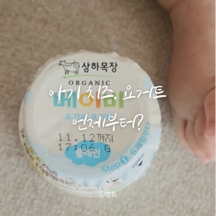 아기 치즈 요거트 간식 언제부터 섭취 방법 시기 양 권장량 주의사항 네이버 블로그