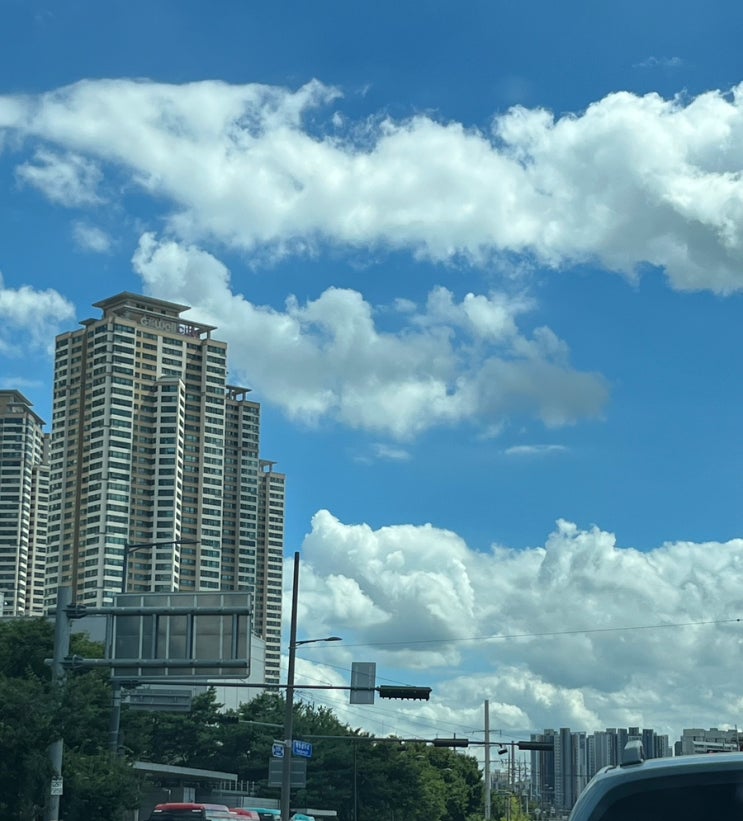 2024. 8월 첫째주 주간일기 : 네이버 블로그