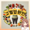 고혈압 정상수치 원인 증상 고혈압에좋은음식 잡곡밥 네이버 블로그