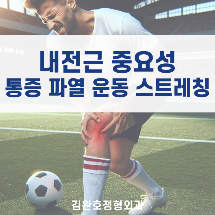 내전근 중요성 통증 파열 운동 스트레칭 네이버 블로그