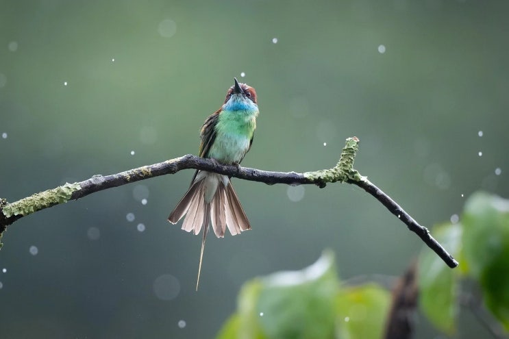 DAILY DEVOTIONAL for August, 매일 묵상DOA DARAM HARI UNTUK Agustus, Joyful ...