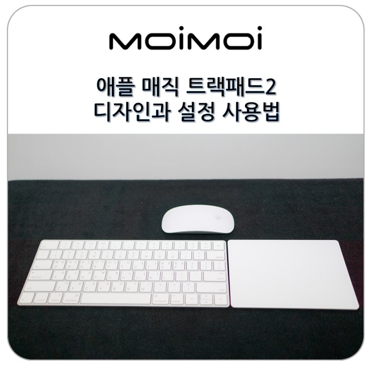 애플 매직 트랙패드2 디자인과 설정 사용법 네이버 블로그