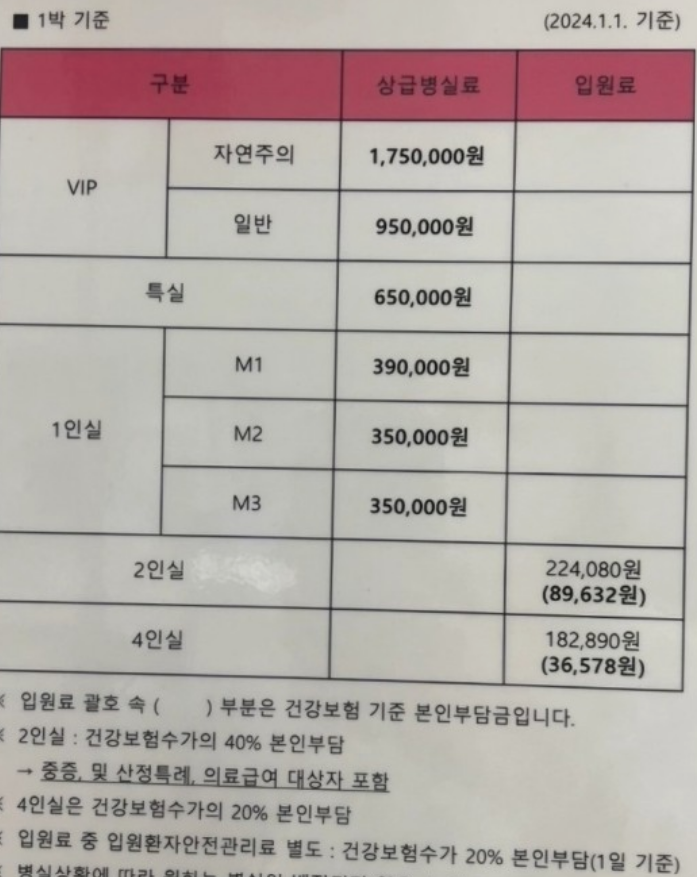 임신출산 강남차병원 6박7일 제왕절개 1인실 출산 후기 Day1 4 출산가방 준비물 1인실 보호자 동반 수술