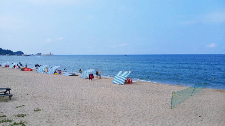 강원도 양양 한적한 원포리 해변 해수욕장 야영장 노지 솔밭 오토캠핑장 네이버 블로그