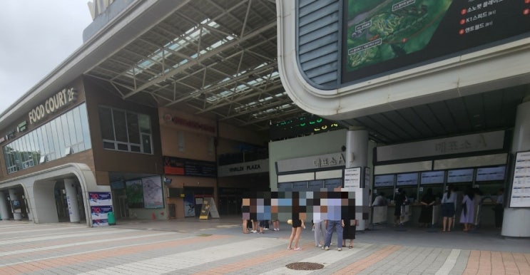 홍천 비발디파크 루지하늘정원양떼목장 네이버 블로그