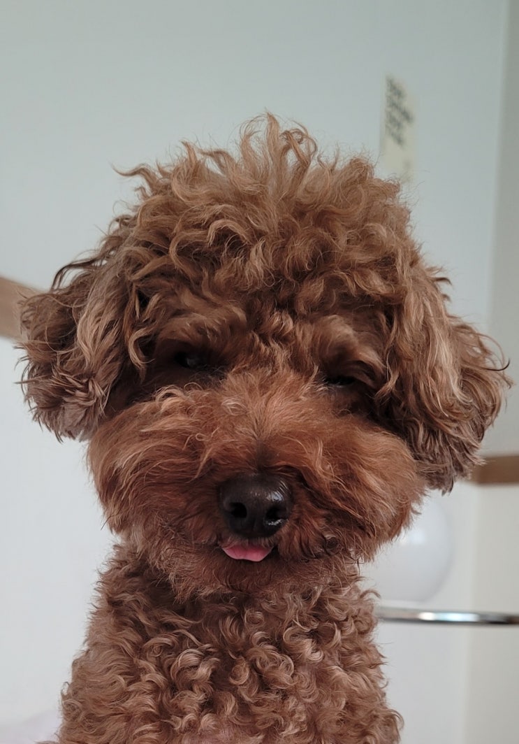 아솔이랑 데뚜데뚜 기억기록:삼덕동/duckle, 대명동/cafe Durk, : 네이버 블로그