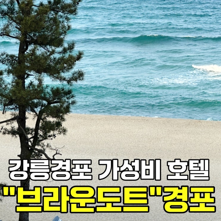 브라운도트호텔 경포 강릉 호텔 가성비 숙소 바다가 코 앞 파도소리 들리는 숙소 네이버 블로그
