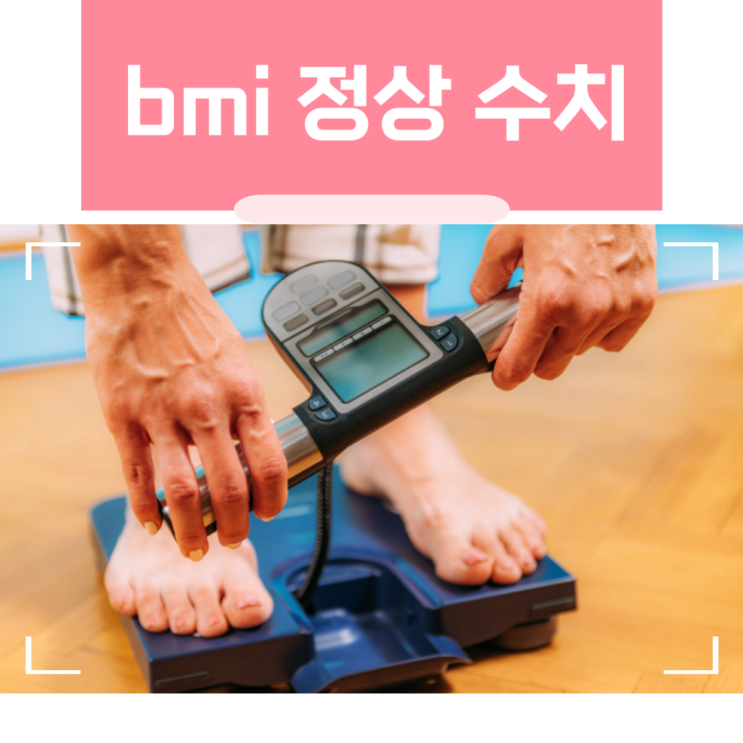 bmi 뜻 비만도 계산기 bmi 19 정상 수치 : 네이버 블로그