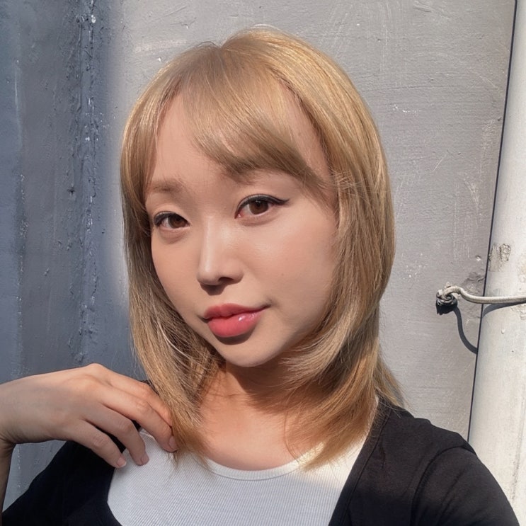 쿨톤 웜톤 애쉬베이지 코토리베이지 염색 내돈내산 후기 네이버 블로그