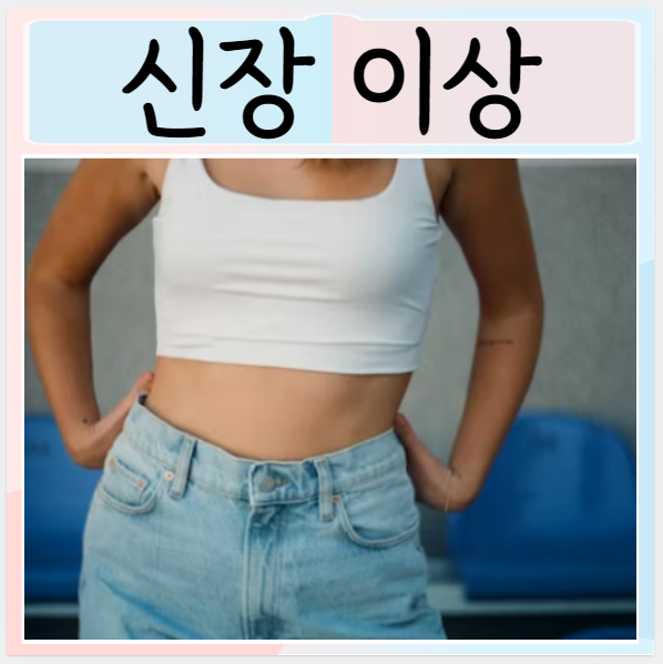 신장 이상 신장기능 신장암 등 알아보기 네이버 블로그