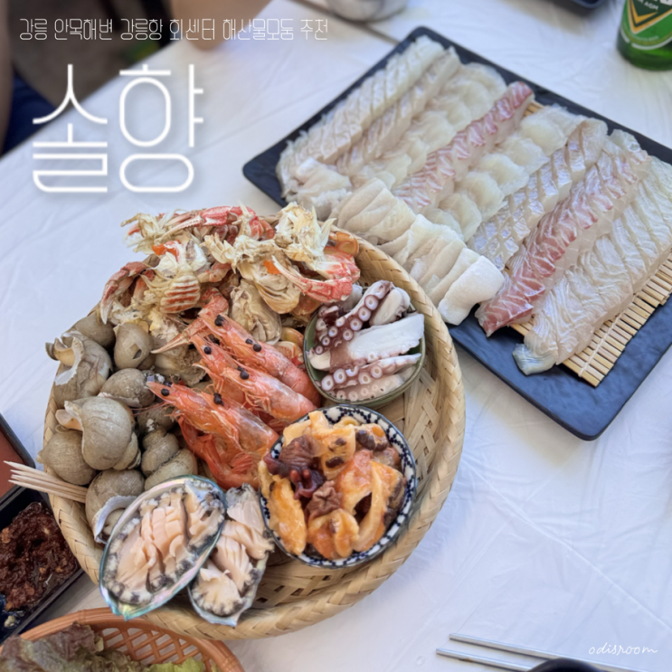 강릉 안목해변 횟집 회포장 강릉회센터 가성비 최고 강릉항활어회센터 솔향 네이버 블로그