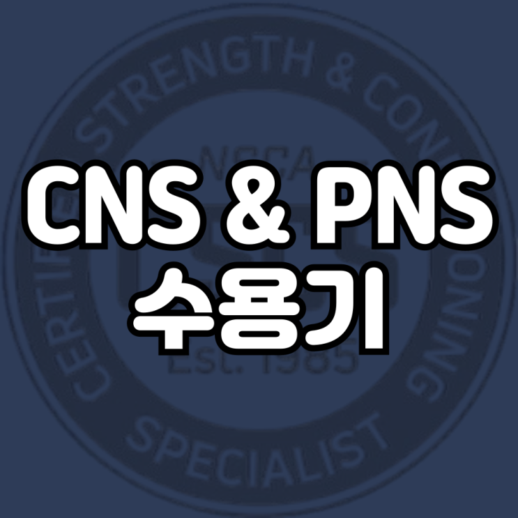 [부록] 중추신경계와 말초신경계(feat. 수용기) : 네이버 블로그