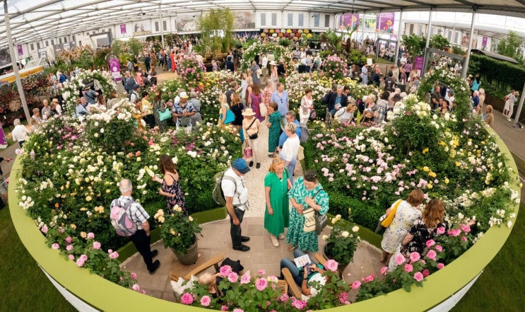 2024 영국 첼시 플라워쇼 Chelsea flower show 2024 수상작들, 세계 최대 정원 박람회 : 네이버 블로그