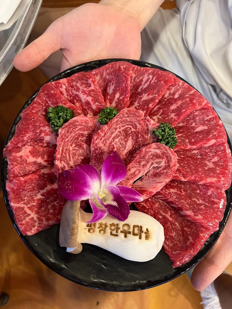 강원도 평창 휘닉스파크 근처 맛집평창 한우마을 면온점나혼자산다 전현무 맛집 식당휘닉스파크 푸줏간 방문 비교 내돈내산 솔직