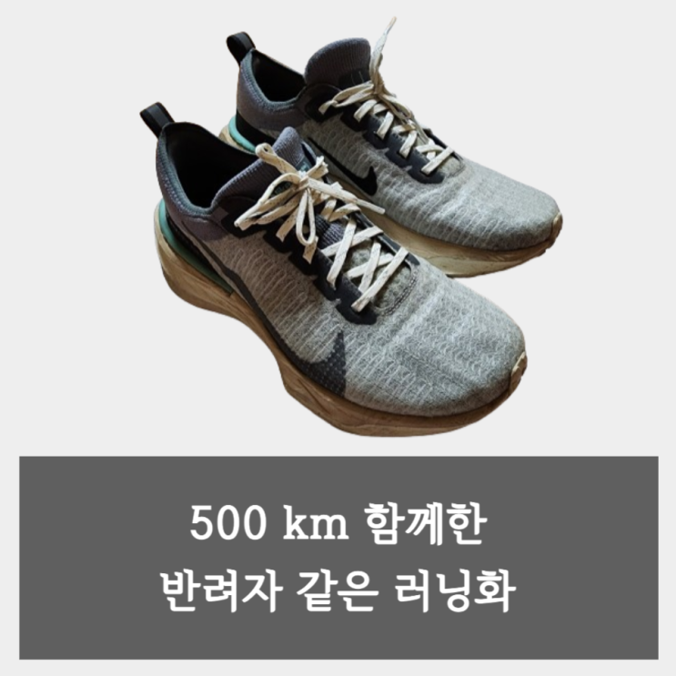 나이키 인빈서블3 500km 관찰하기 : 네이버 블로그