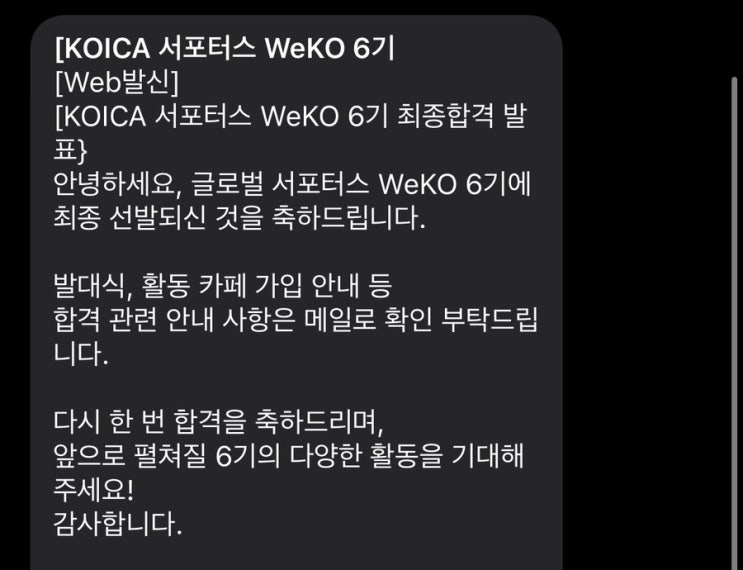 [WeKO 6기] KOICA 글로벌 서포터스 WeKO 발대식 후기! : 네이버 블로그