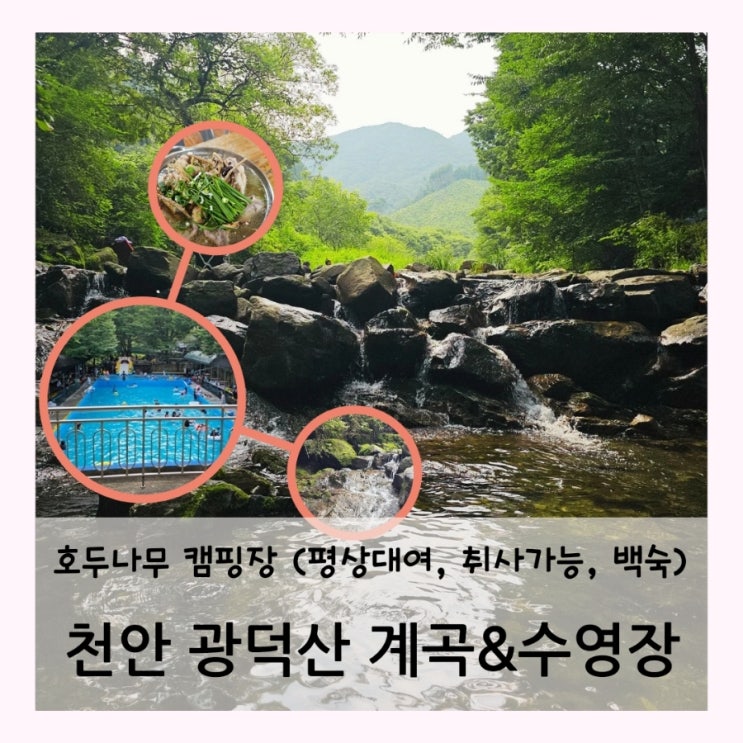 천안 광덕산 호두나무캠핑장 백숙 먹고 계곡 수영장 물놀이 네이버 블로그