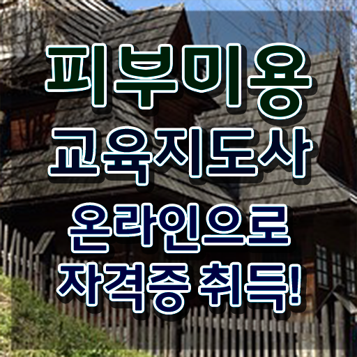 피부미용 피부미용교육지도사 자격증 온라인으로 취득했던 후기 및 온라인 무료강의 네이버 블로그
