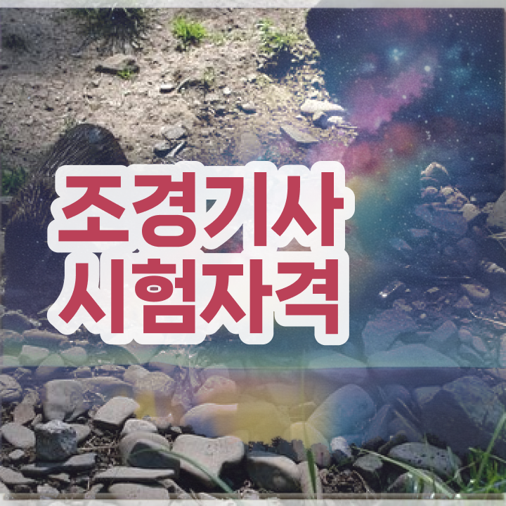 산림기사 조경기사 조경기사 자격요건 인강만 듣고 반 년만에 끝낸 비법 네이버 블로그