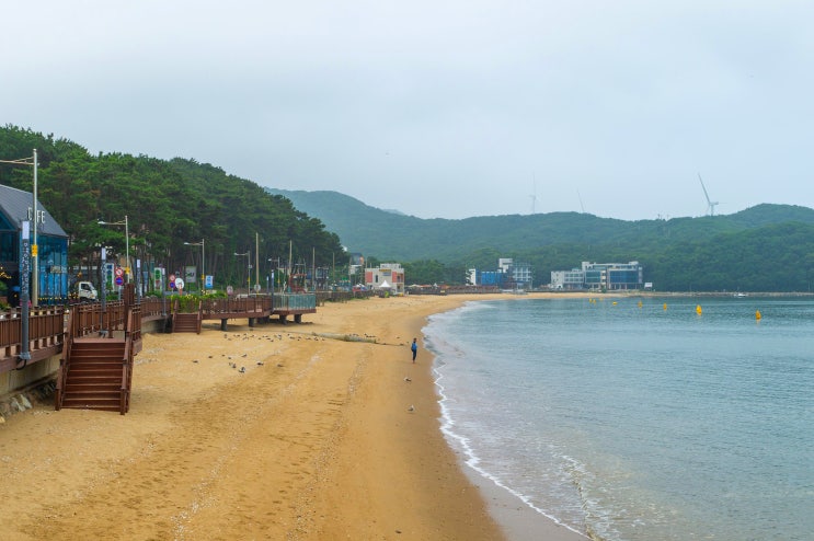 인천 영흥도 장경리해수욕장 야영장 피크닉존 서울근교 바다 캠핑장 네이버 블로그
