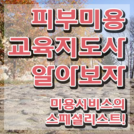 일산피부학원 피부미용교육지도사 자격증 온라인으로 쉽게 합격한 비법 및 구직정보 네이버 블로그