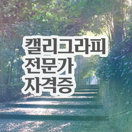 캘리그라피 부채 캘리그라피전문가 자격증 단기간에 준비한 방법 정보 가득 네이버 블로그