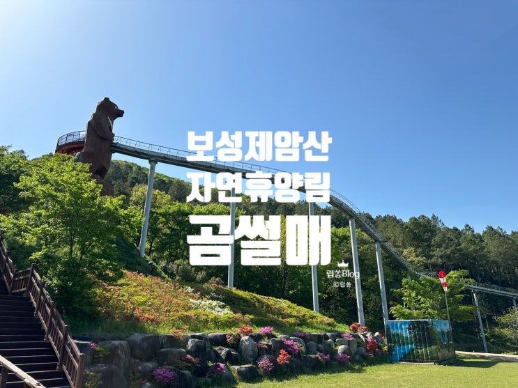 보성 제암산 자연휴양림 곰썰매 에코어드벤쳐 아이와 1박2일 네이버 블로그