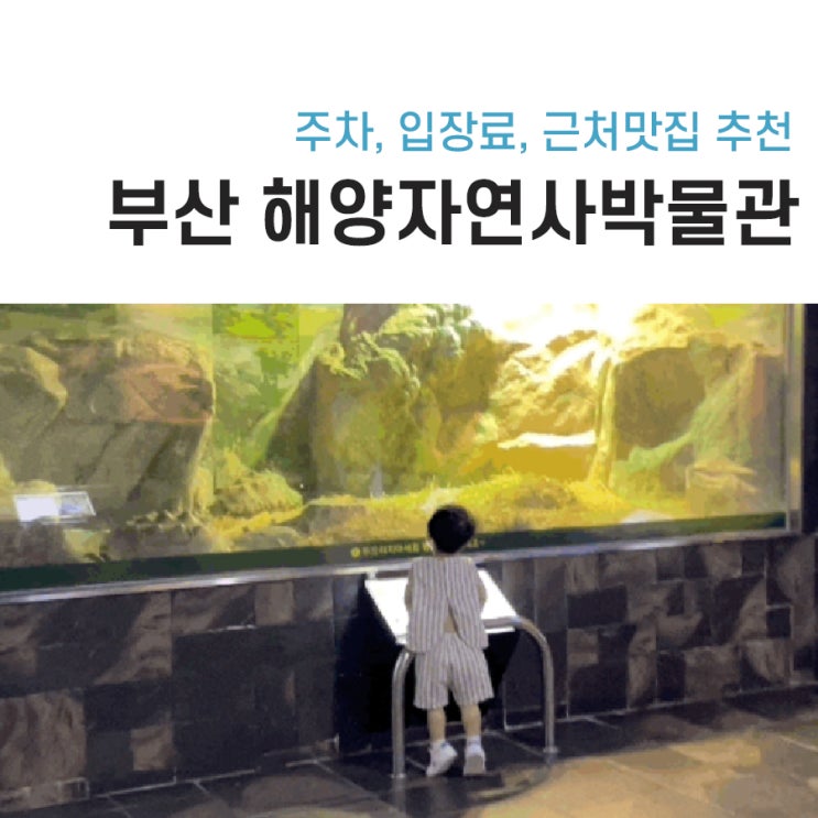 부산 해양자연사박물관 악어 만나기주차 입장료 근처 맛집 추천 네이버 블로그