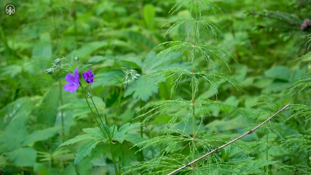 브랜드마케팅자격증 마케팅기획전문가 자격증 합격한 전략 알아보기 네이버 블로그