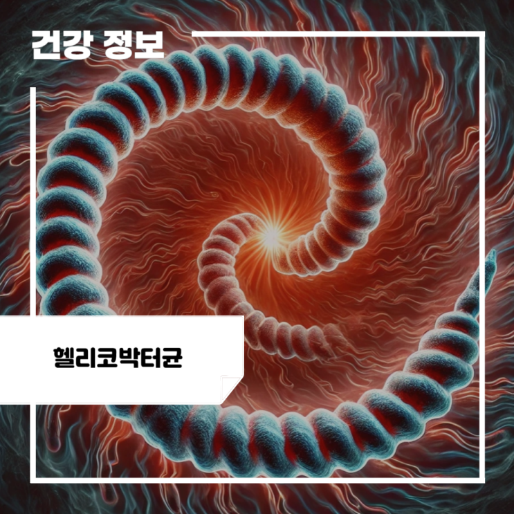 헬리코박터균 감염 증상 및 원인 전염 검사 병원 헬리코박터균 약 복용법 치료 방법 네이버 블로그