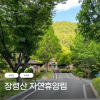 옥천 여행 장령산 자연휴양림 물놀이 계곡 캠핑장 숙소 네이버 블로그