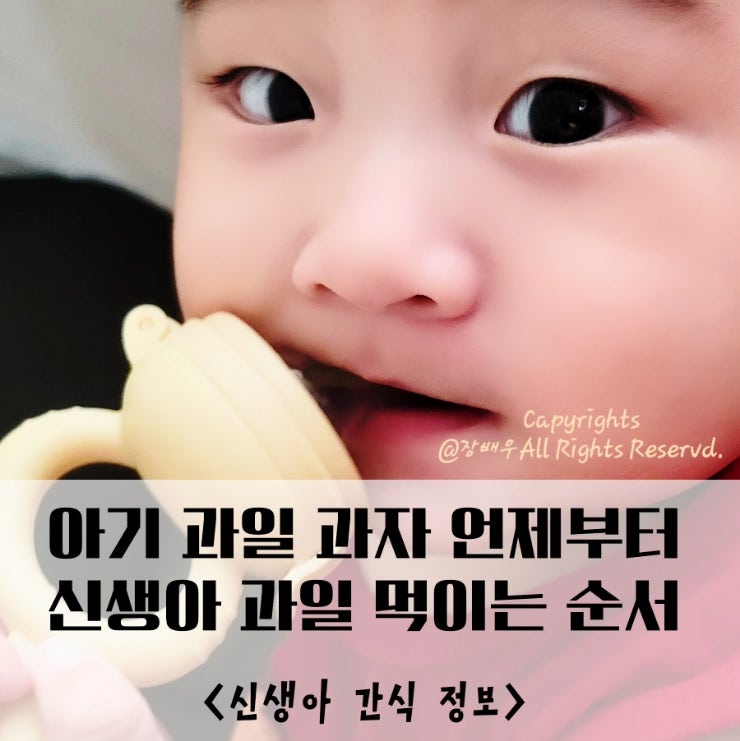 아기과자먹는시기 아기과일먹는시기 신생아 과일 먹이는 순서 요약정리 네이버 블로그